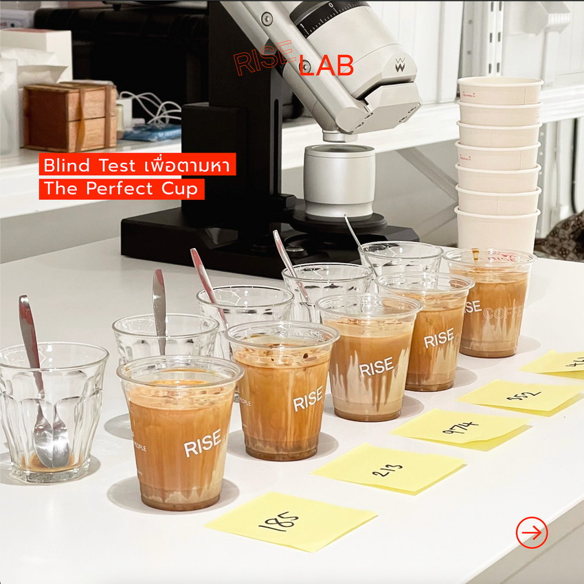 RISE LAB | RISE COFFEE