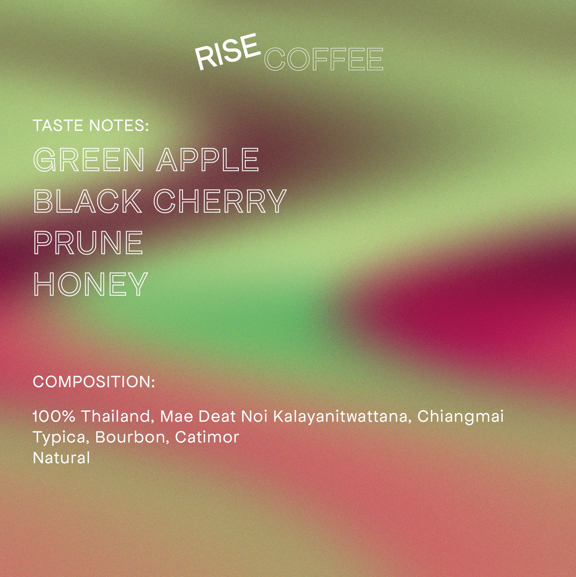 RISE COFFEE | A Progressive Coffee Space and Micro-Roastery in Bangkok