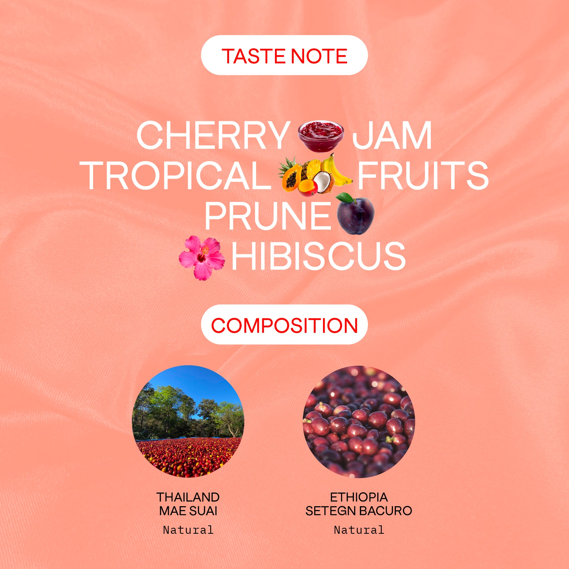 RISE COFFEE | A Progressive Coffee Space and Micro-Roastery in Bangkok